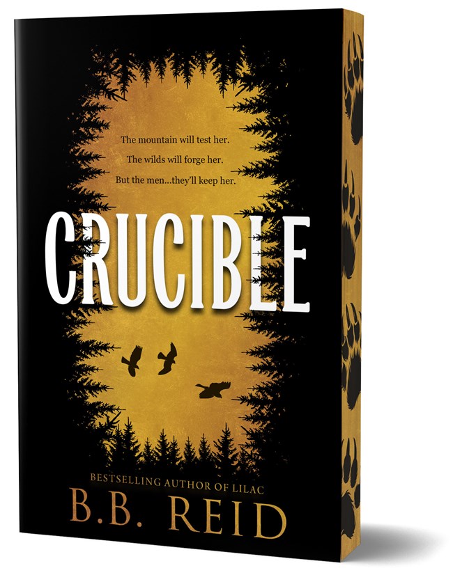 Crucible (Deluxe Edition) by B.B. Reid – Steamy Lit Romance Bookstore